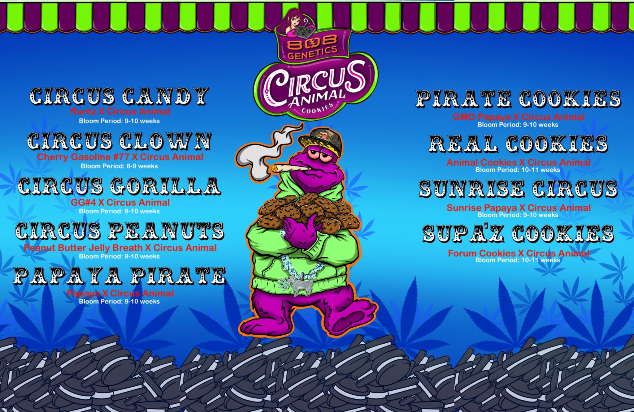 808 Genetics – Hawaiian Cannabis Seeds