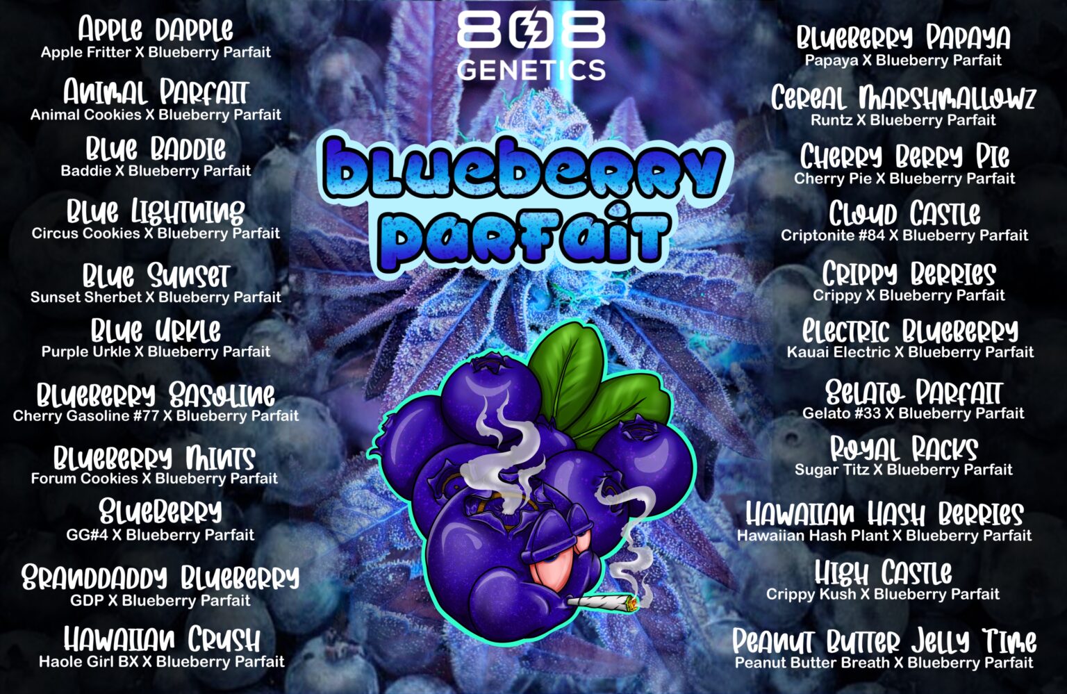 808 Genetics – Hawaiian Cannabis Seeds