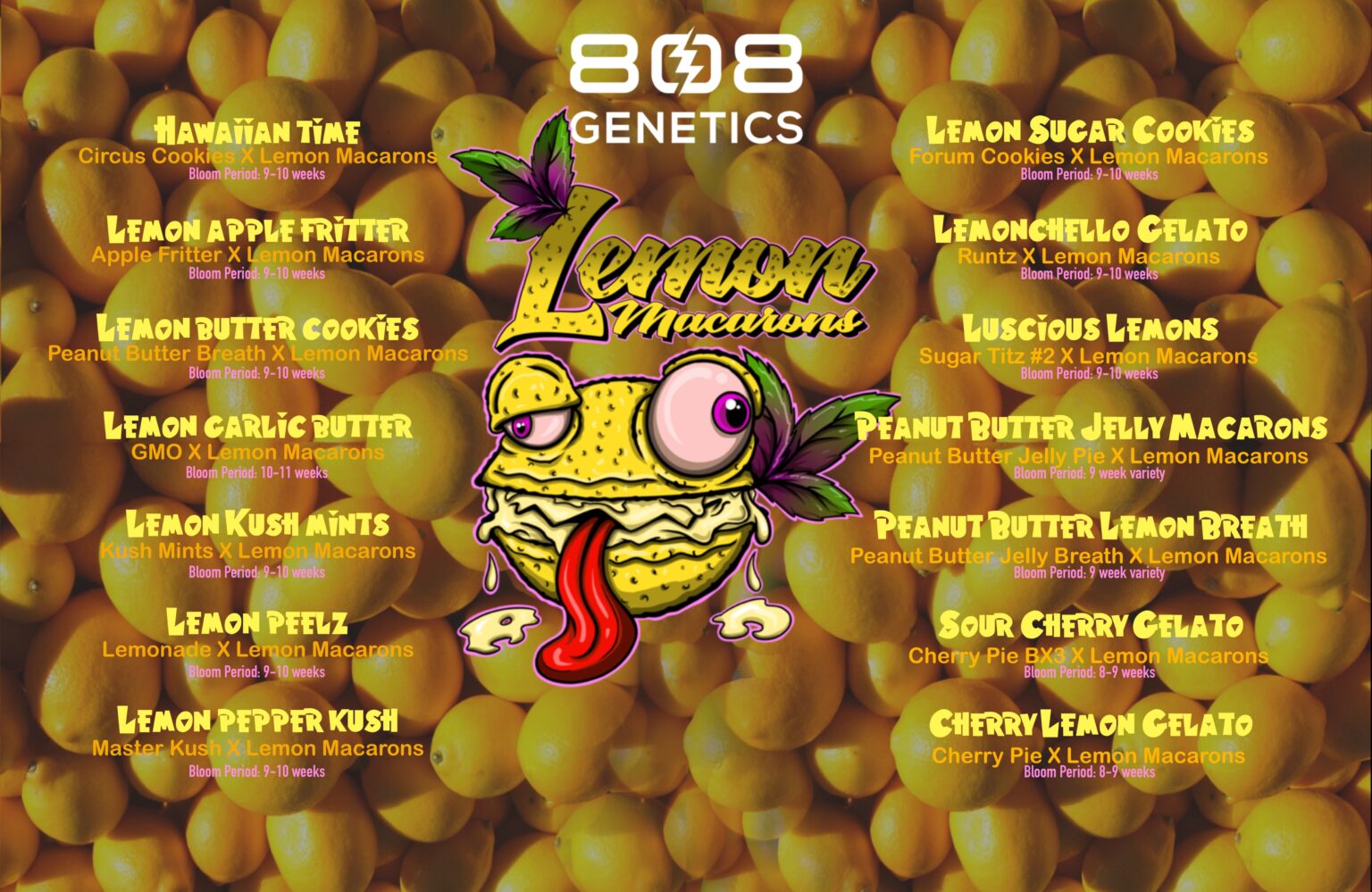 808 Genetics – Hawaiian Cannabis Seeds