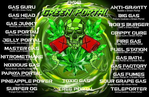 808 Genetics – Hawaiian Cannabis Seeds