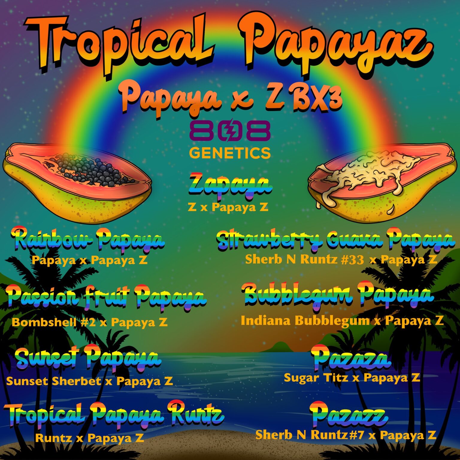 Tropical Papaya Zkittlez Boxset – 808 Genetics